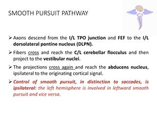 Supranuclear control of gaze | PPTX