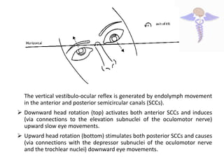 Supranuclear control of gaze | PPTX