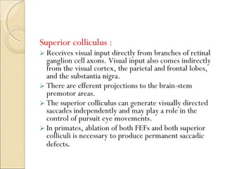Supranuclear eye movement control (1) | PPT