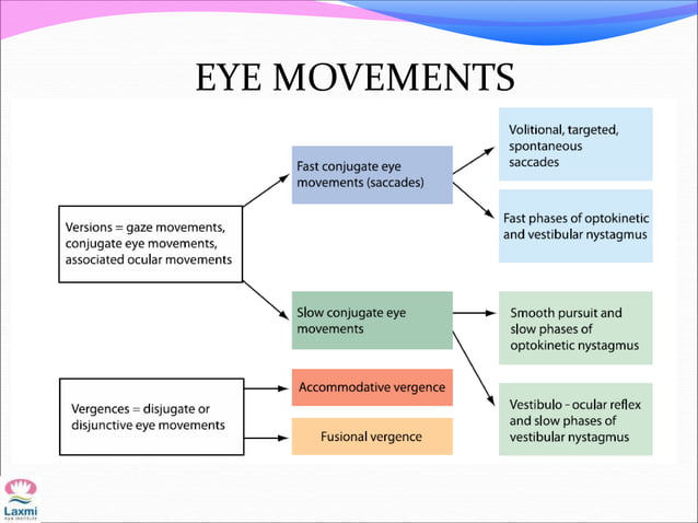 Supranuclear pathways and lesions | PPTX