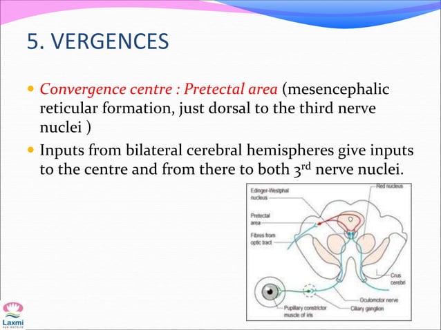Supranuclear pathways and lesions | PPTX