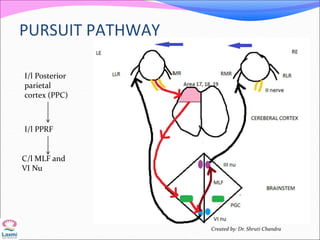 Supranuclear pathways and lesions | PPT