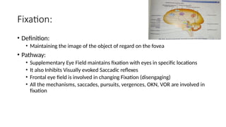 Supranuclear control of eye movements in ophthalmology | PPTX