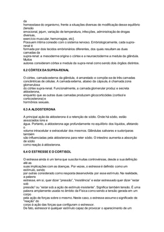 Supra renais | PDF