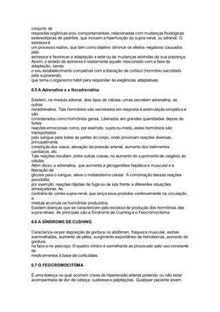 Supra renais | PDF