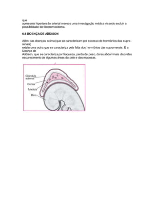 Supra renais | PDF