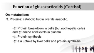 Suprarenal gland dr dina | PPTX