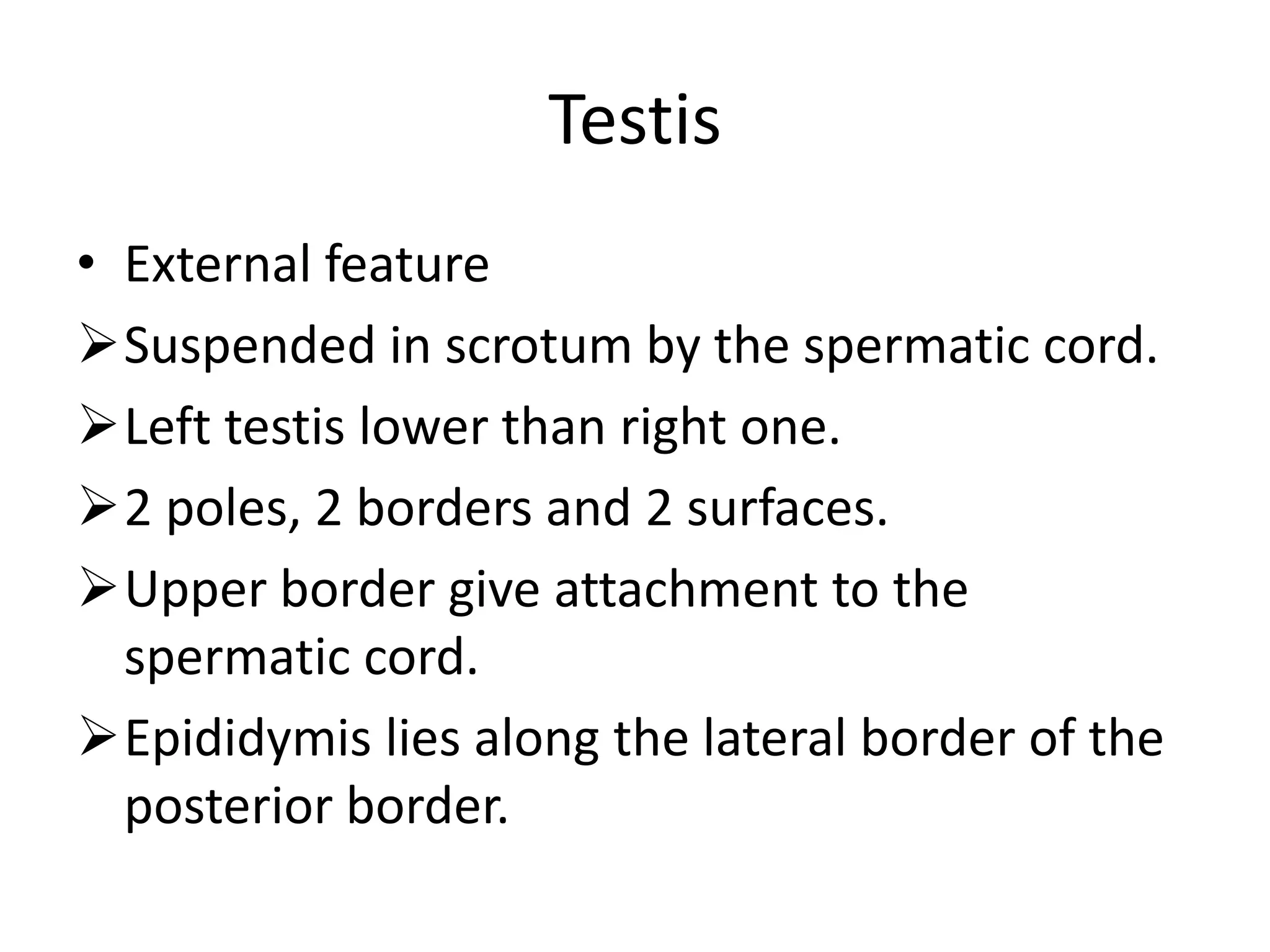 Suprarenal glands, ovary and testis | PPTX