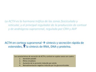 Glandula Suprarrenal | PPTX