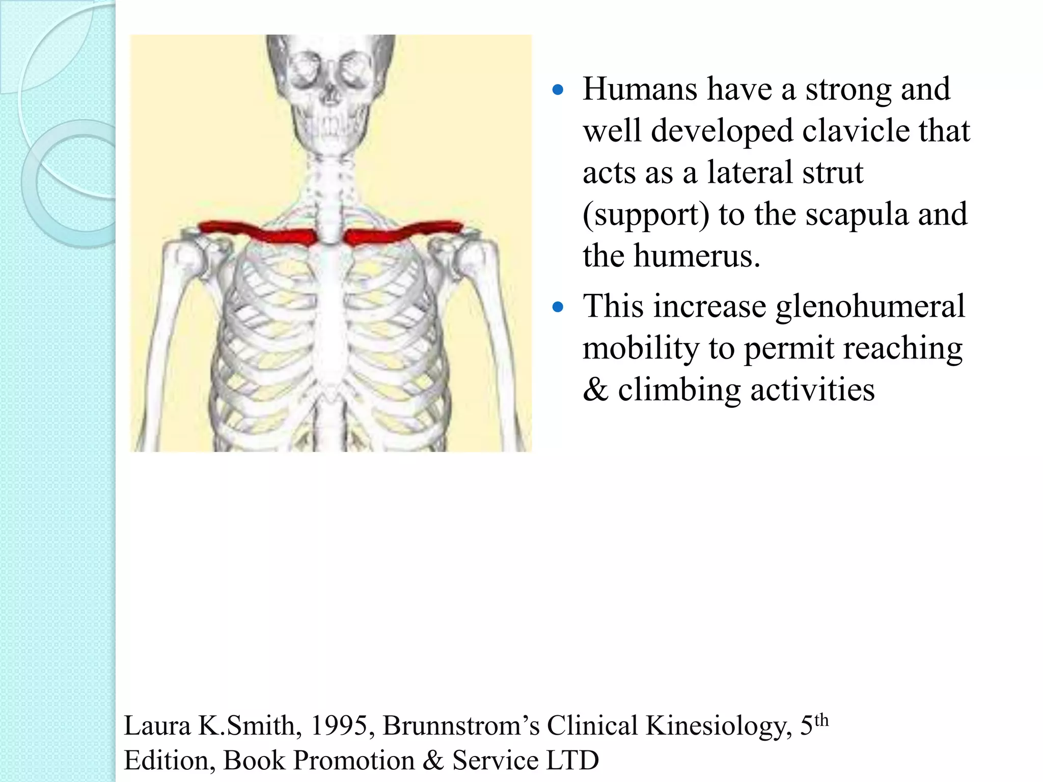 Supraspinatus tendinitis 30may2013 | PPTX