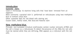 supravital stains.pptxuvffffffffffffffffffffg | PPT