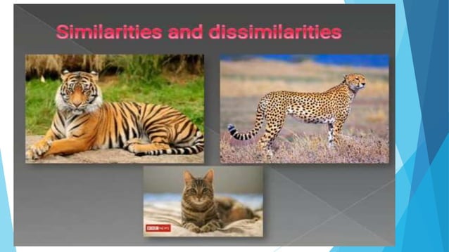 sorting materials into groups class 6 ppt | PPTX