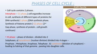 SUPRITI CELL BIO.pptx CELL cycle and its regulation | PPTX