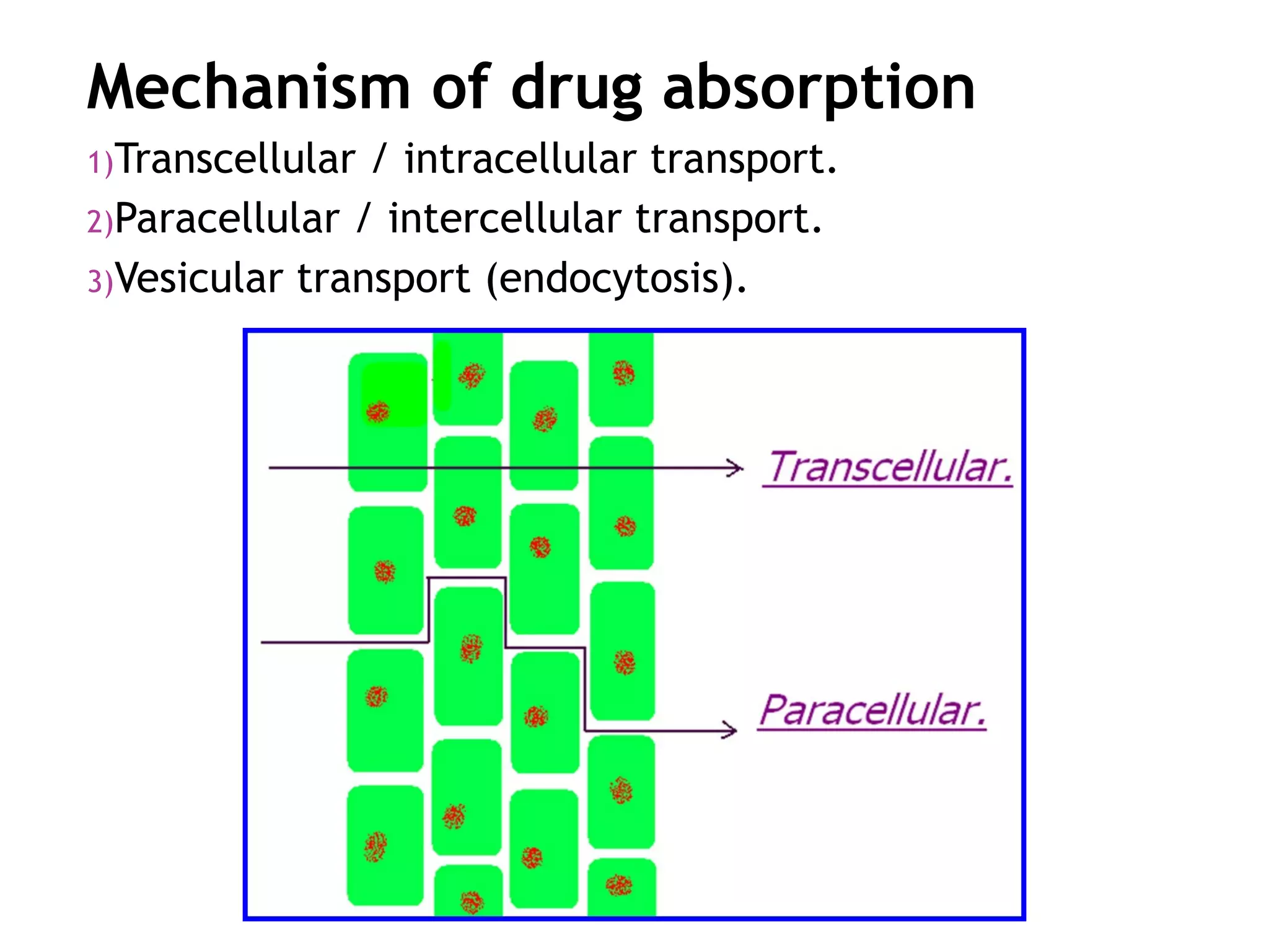 Drug absorption mechanisms Supriya | PPT | Pharmaceutical Drugs ...