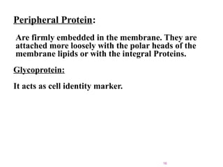 cell membrane supriya | PPT