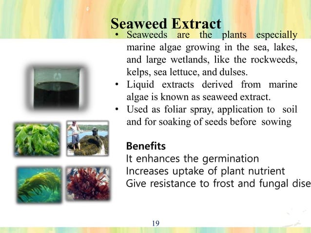 preparation of liquid manures and their quality and its use in organic ...