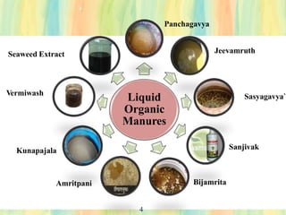 preparation of liquid manures and their quality and its use in organic ...