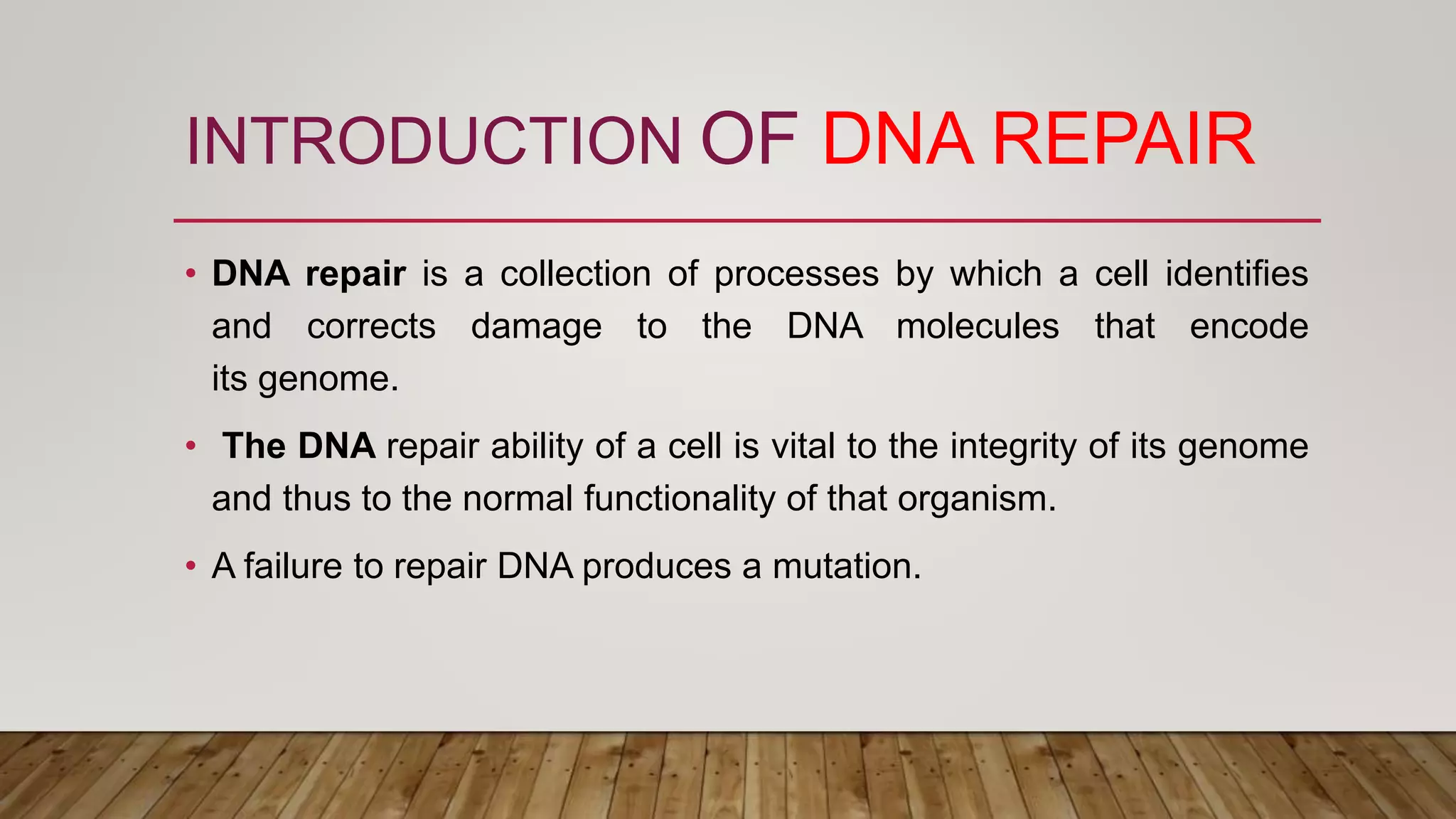 DNA REPAIR PPT IN SHORT UNDER 15 PAGES | PPTX
