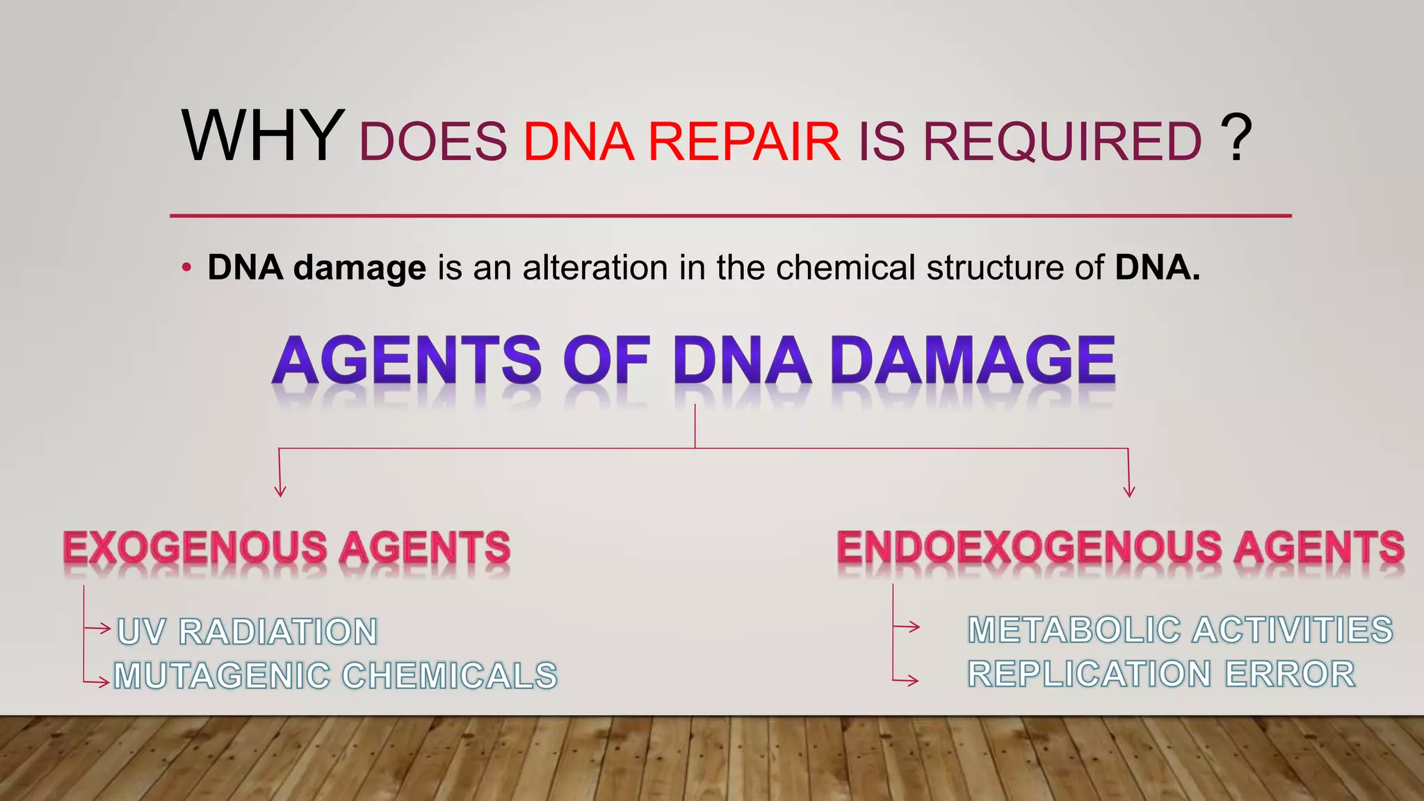 DNA REPAIR PPT IN SHORT UNDER 15 PAGES | PPTX