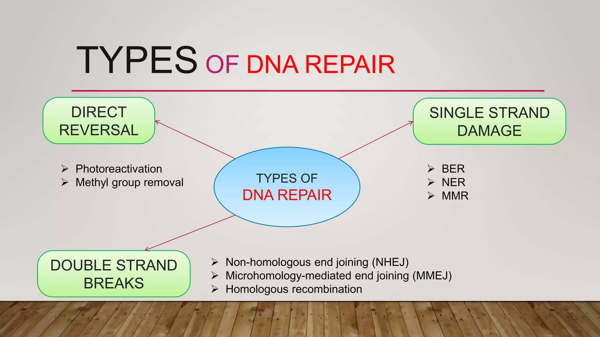 DNA REPAIR PPT IN SHORT UNDER 15 PAGES | PPTX