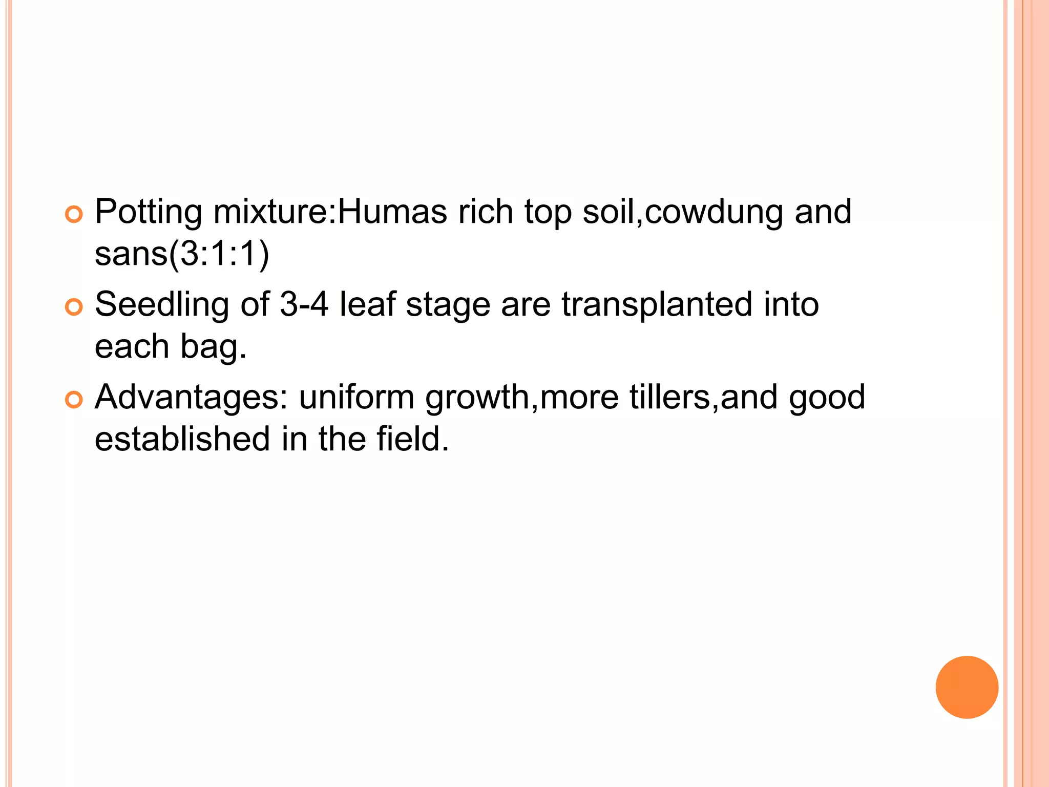 cardamom production technology | PPTX