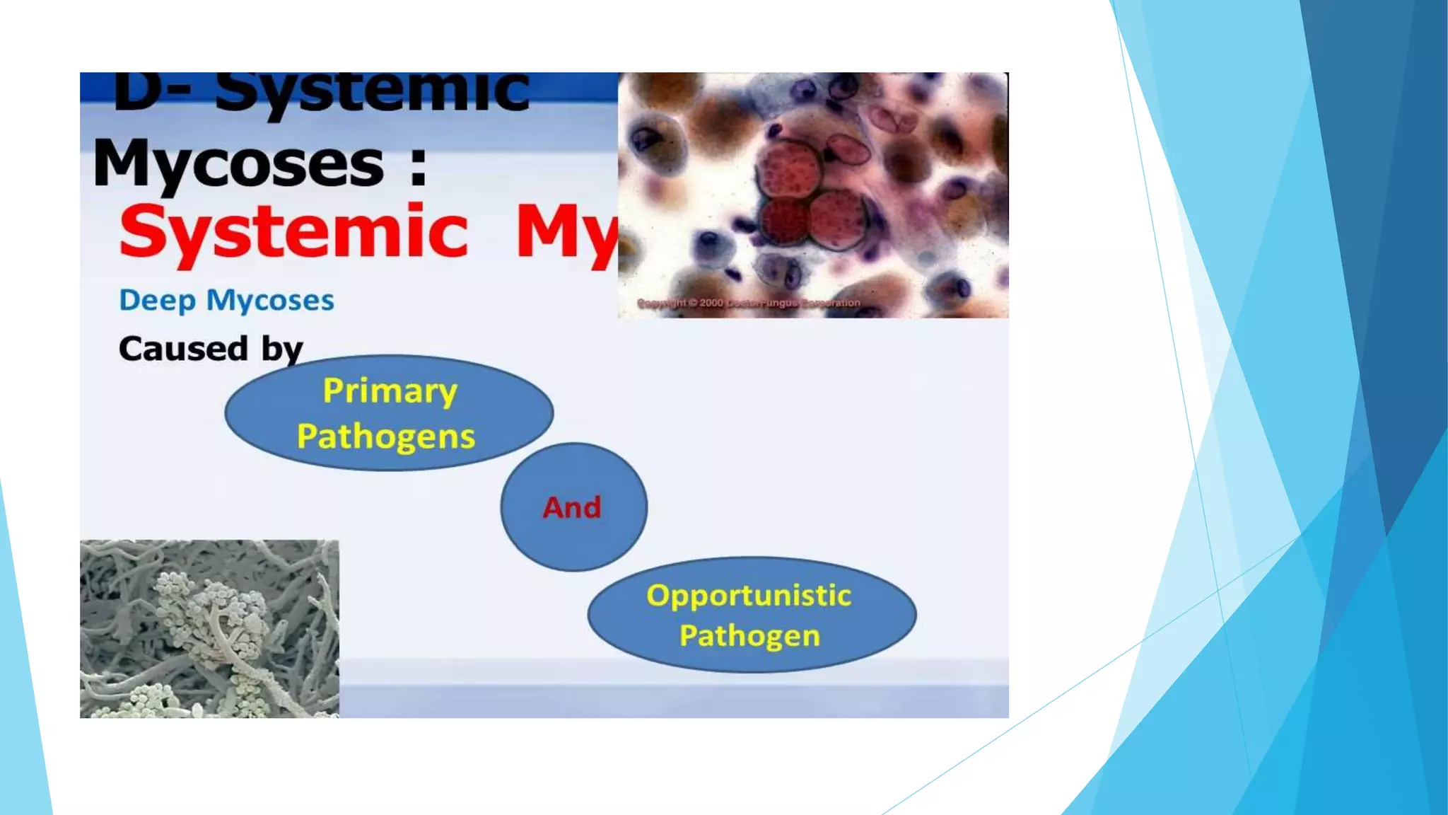 Fungal diseases(MYCOSES) | PPTX