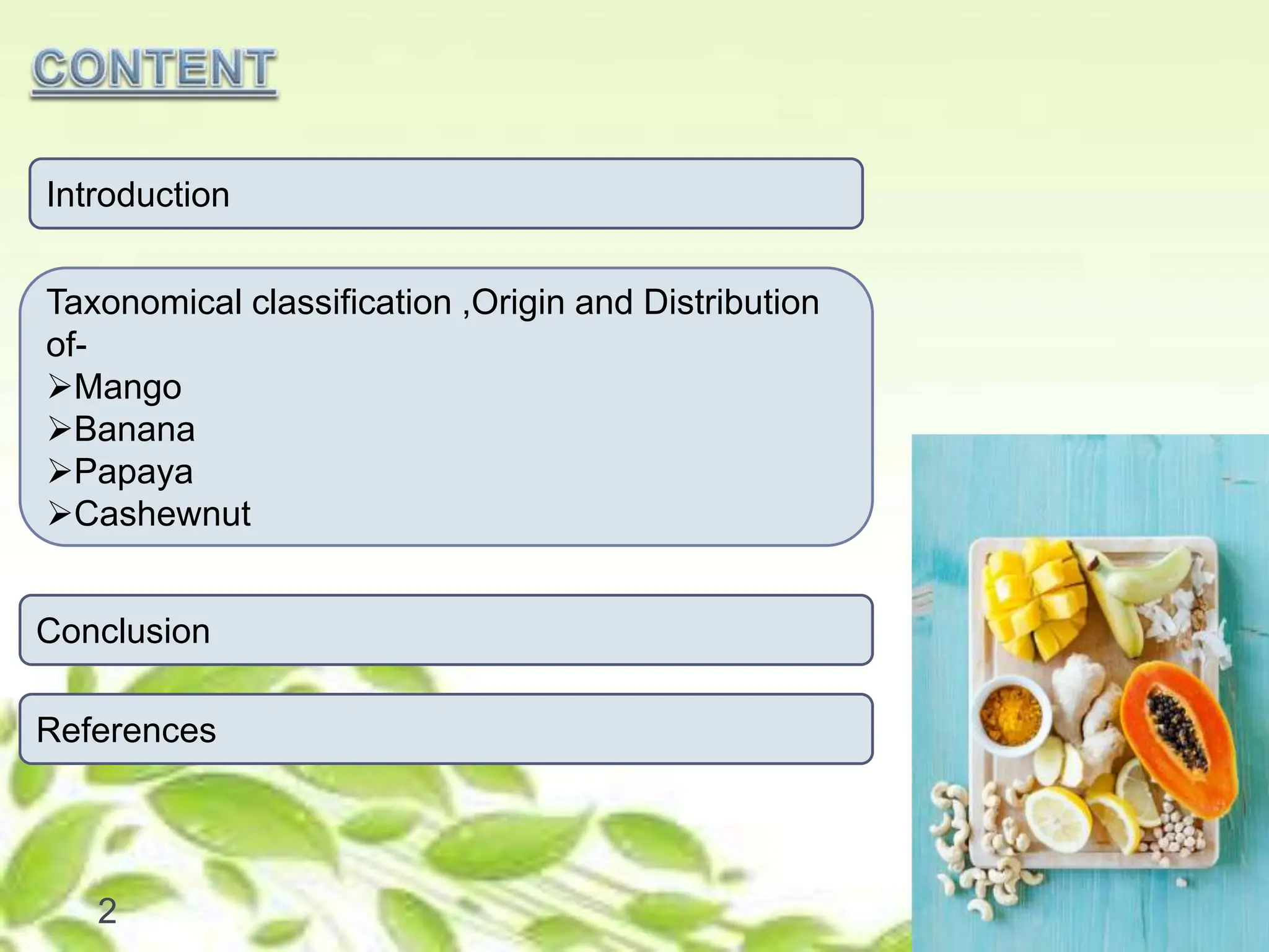 TAXONOMICAL CLASSIFICATION ,ORIGIN AND DISTRIBUTION OF MANGO , BANANA ...