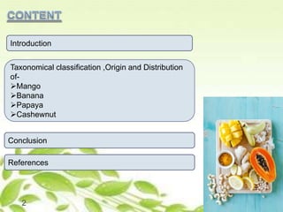TAXONOMICAL CLASSIFICATION ,ORIGIN AND DISTRIBUTION OF MANGO , BANANA ...