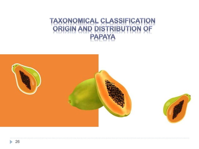TAXONOMICAL CLASSIFICATION ,ORIGIN AND DISTRIBUTION OF MANGO , BANANA ...