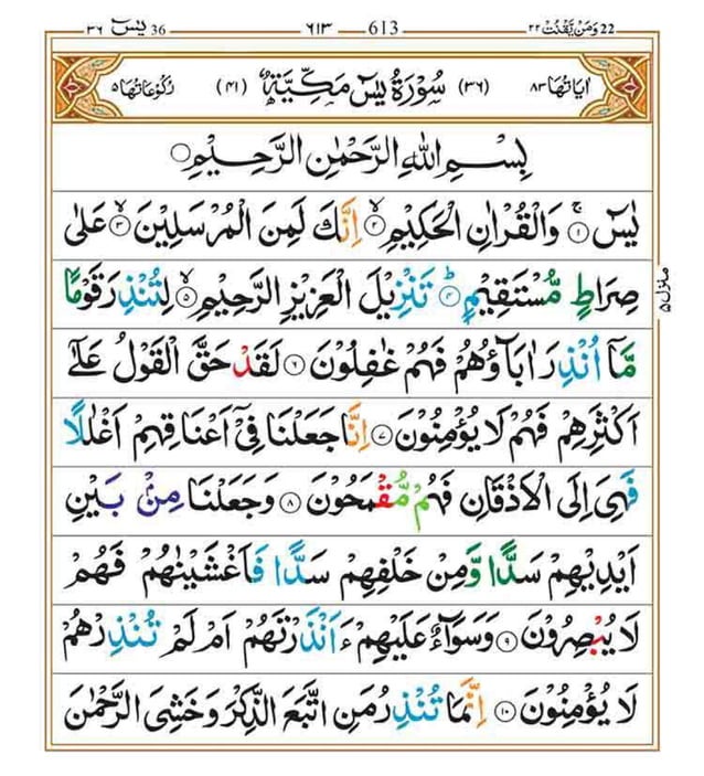 The Encouragement of Regular Recitation: Surah Al-Mulk's Significance ...