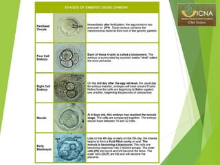 Surah al haj New PPT | PPTX