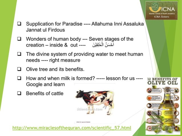 Surah al mominoon New PPT | PPTX