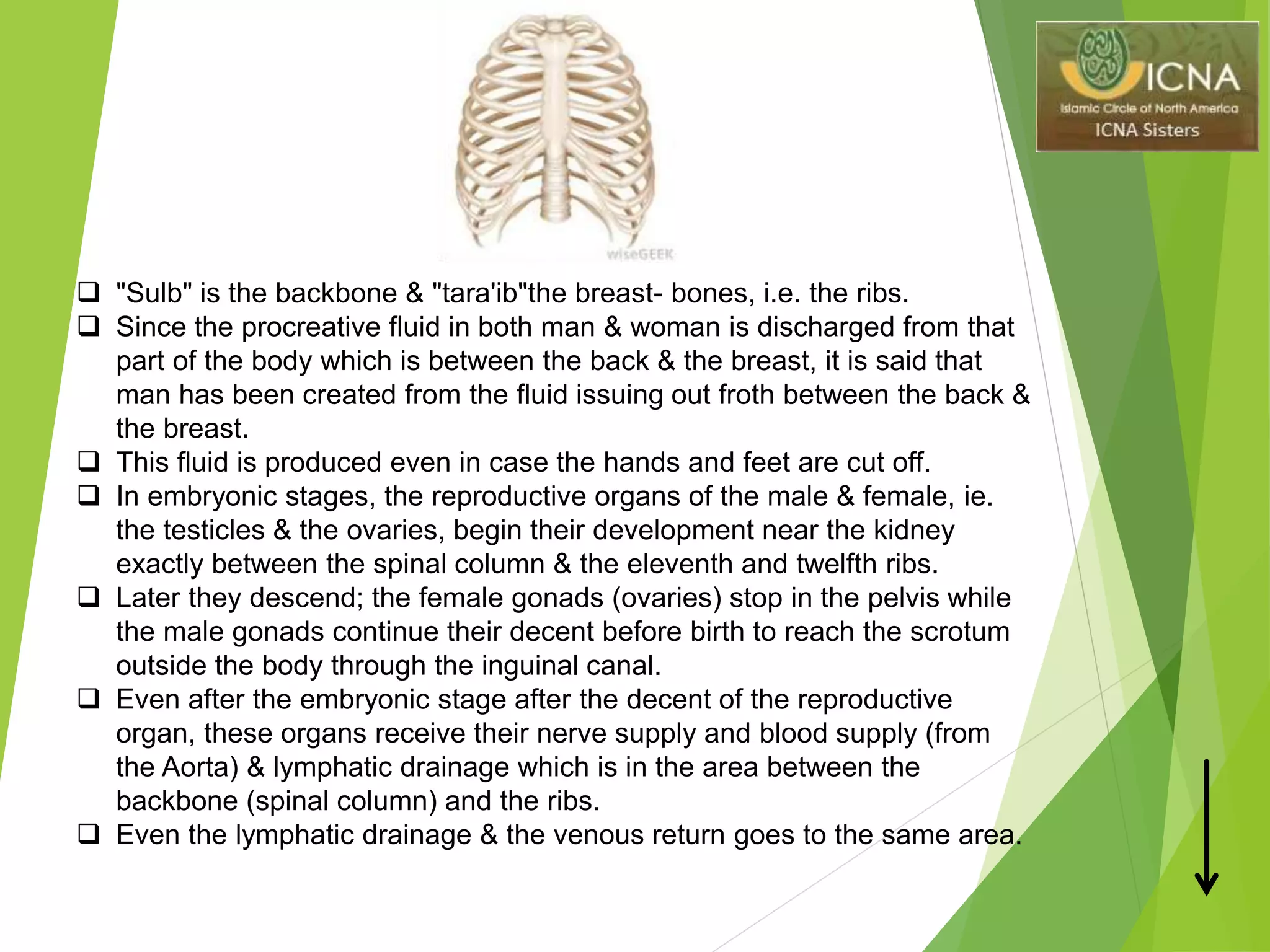 Surah An Naba to Surah Fajr New PPT | PPT