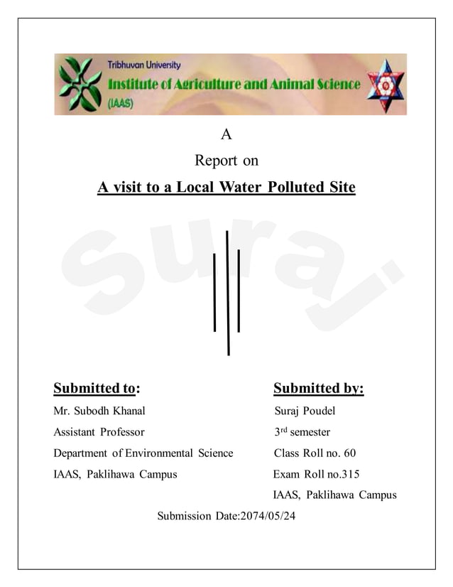 A report on a visit to a local polluted site. | DOCX | Environmental ...