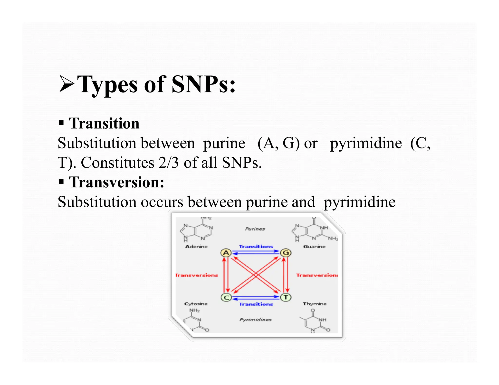 topic- Polymorphism at dna level cytogenetics | PDF