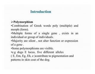 topic- Polymorphism at dna level cytogenetics | PDF