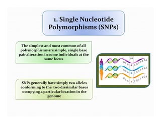 topic- Polymorphism at dna level cytogenetics | PDF