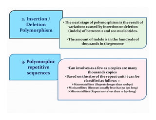 topic- Polymorphism at dna level cytogenetics | PDF