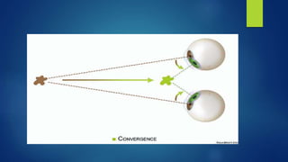 Sign convention | PPTX