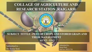 Pest of crops and stored grain and their management | PPTX