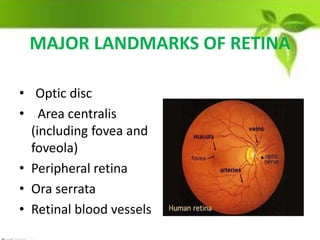 Suraj chhetri retina | PPTX