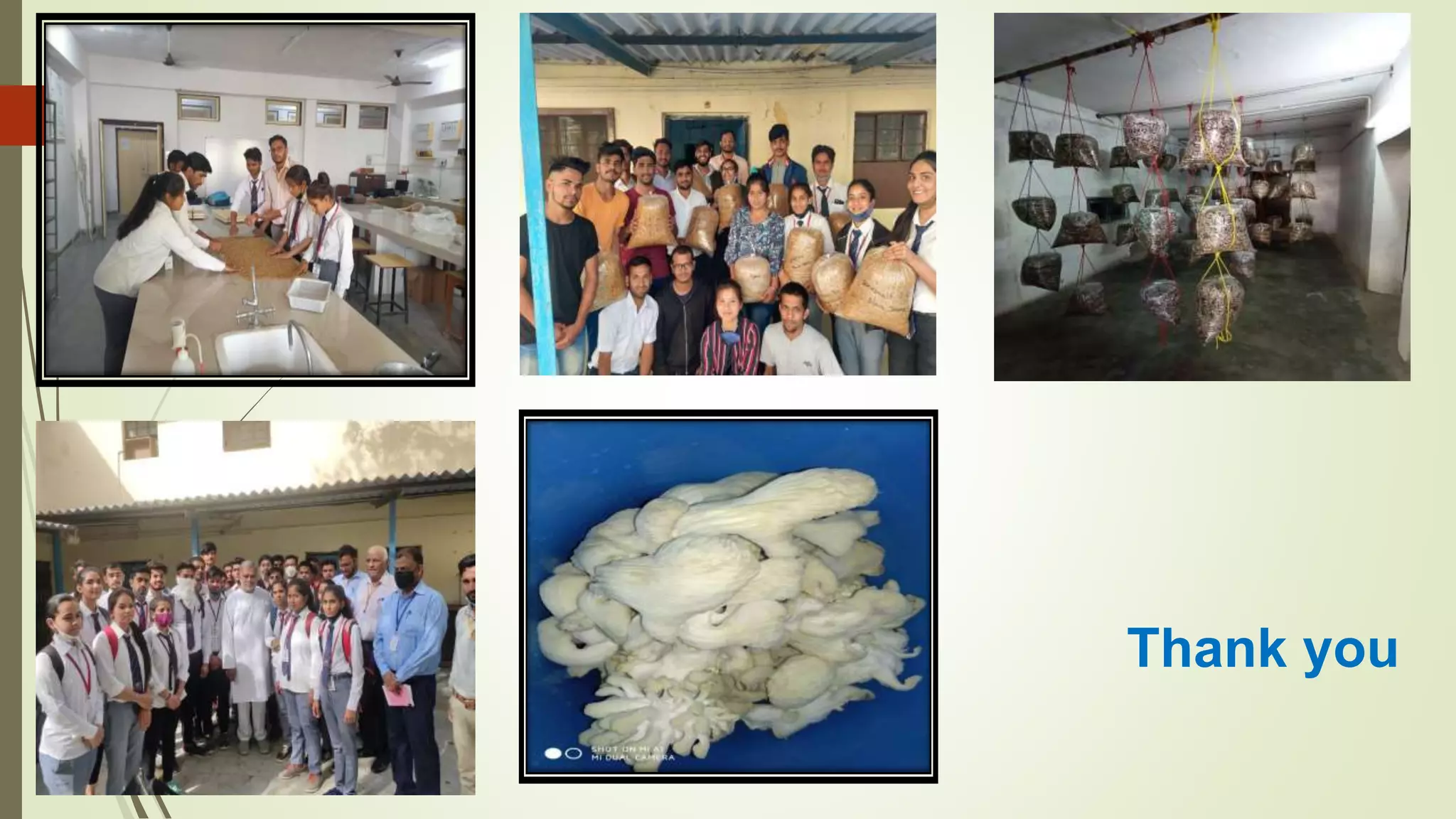 Suraj ELP PPT | PPTX