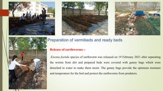 Suraj ELP PPT | PPTX | Agriculture | Industries