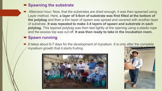 Suraj ELP PPT | PPTX | Agriculture | Industries