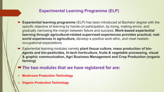 Suraj ELP PPT | PPTX | Agriculture | Industries