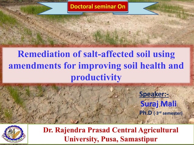Remediation of salt-affected soil using amendments for improving soil ...