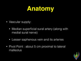 Distally-Based Sural Flap | PDF