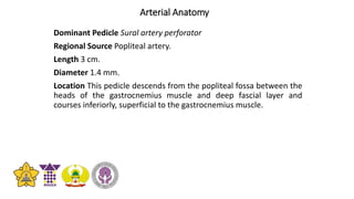 sural flap.pptx
