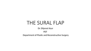 distally based sural artery flap for reconstruction of lower limb flap ...