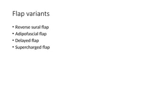 distally based sural artery flap for reconstruction of lower limb flap ...
